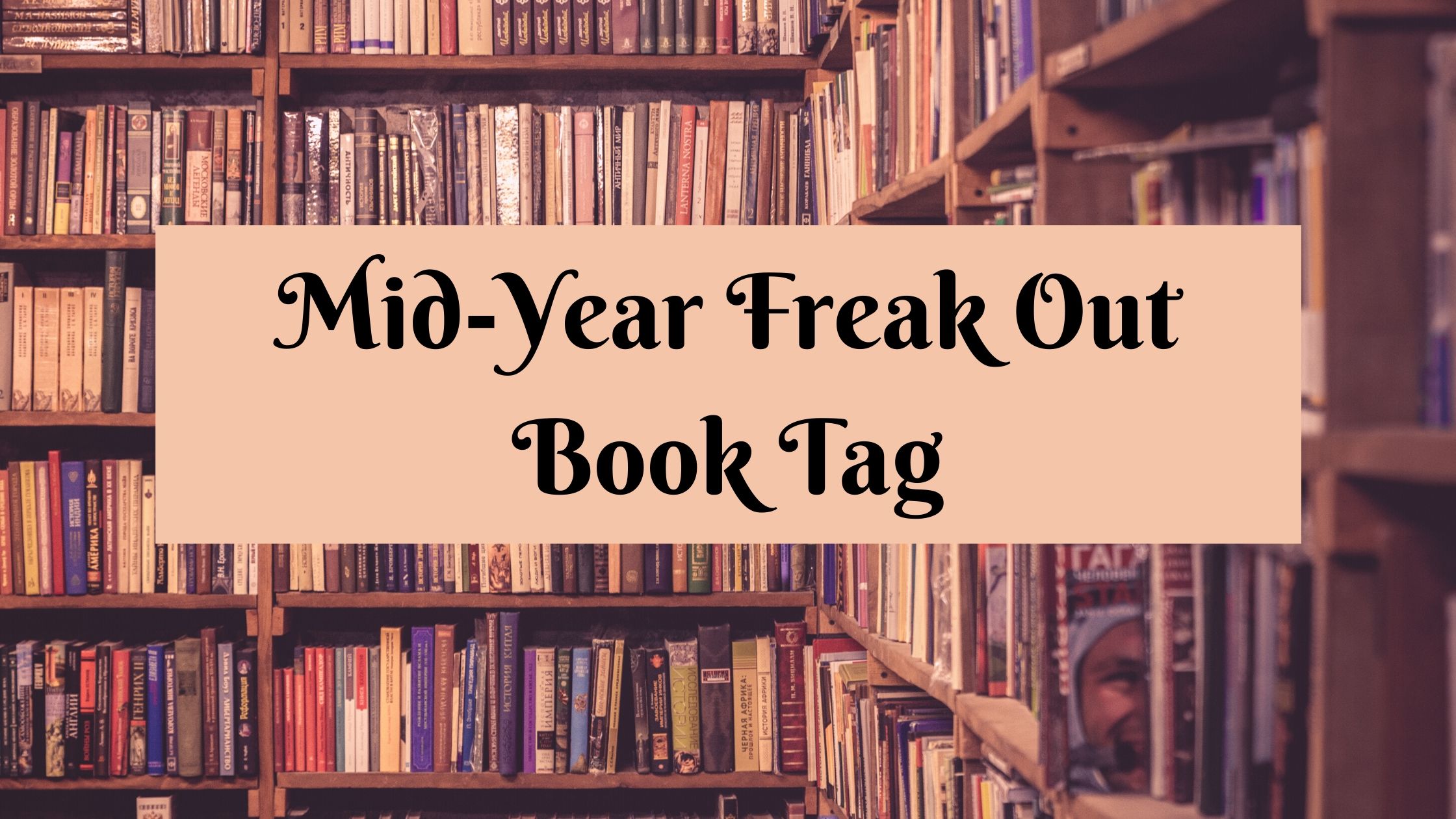 2024 Mid-Year Freak Out Tag – Red-Haired Ash Reads