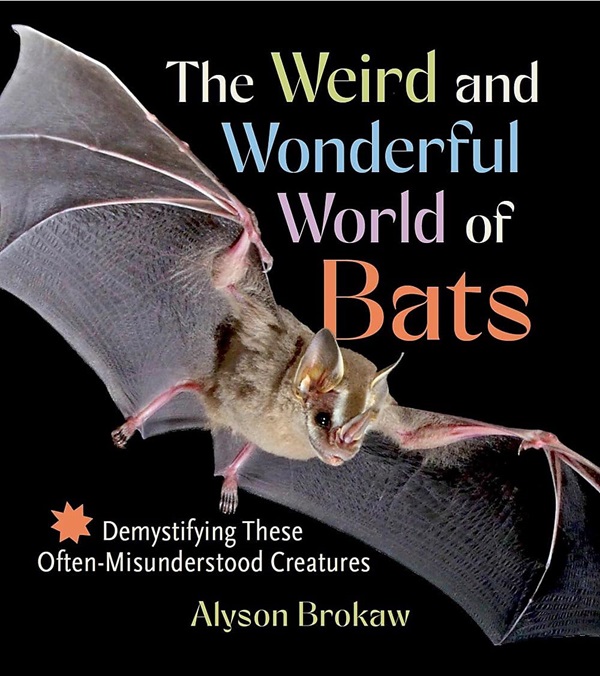 ARC Review: The Weird and Wonderful World of Bats by Alyson Brokaw ...